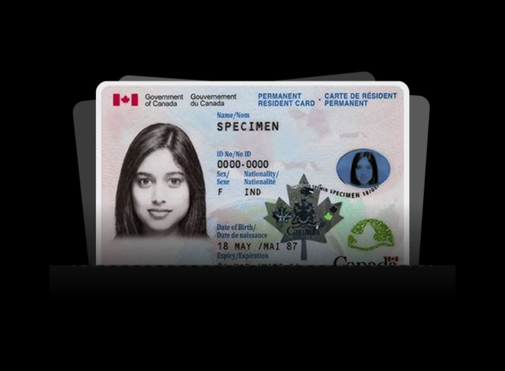 How Canoo Works | Free Access for Newcomers in Canada